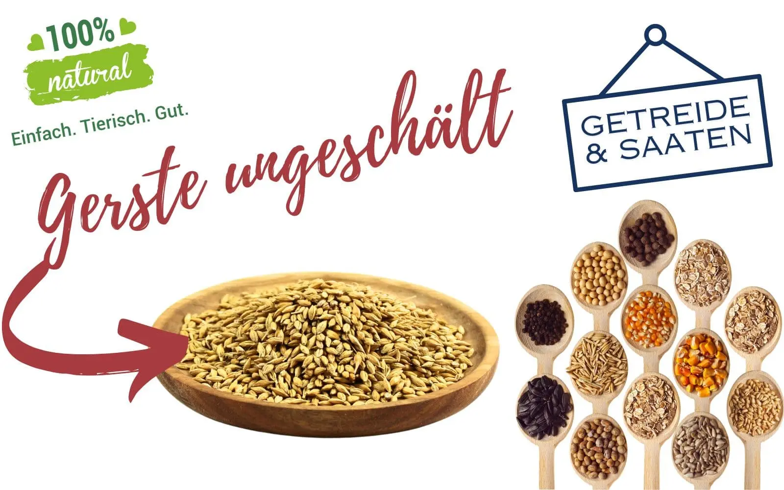 Ungeschälte Gerste von Lyra Pet: Ein Leitfaden für gesunde Vogelernäh